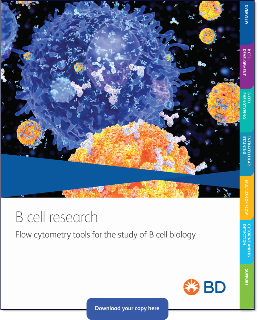 B cell research – BD